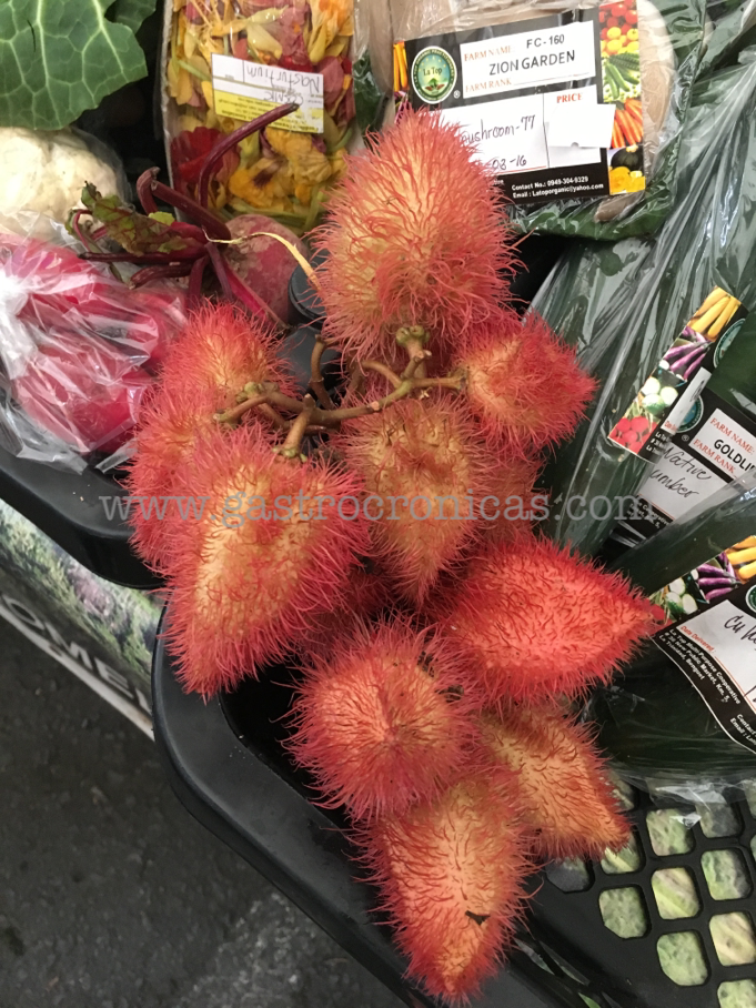 ONOTO o ACHIOTE – GASTROCRÓNICAS